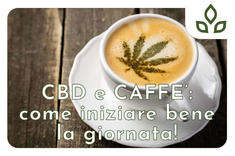 CBD e caffè: come iniziare bene la giornata! - CBD Therapy Delivery