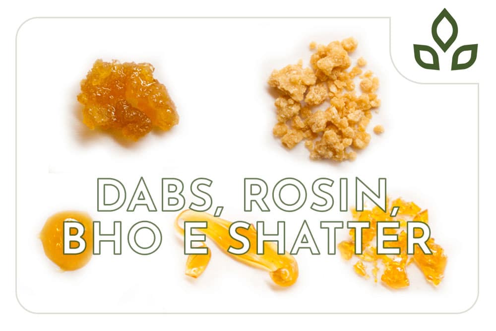 Dabs, Rosin Hash, BHO e Shatter: guida pratica - CBD Therapy Delivery