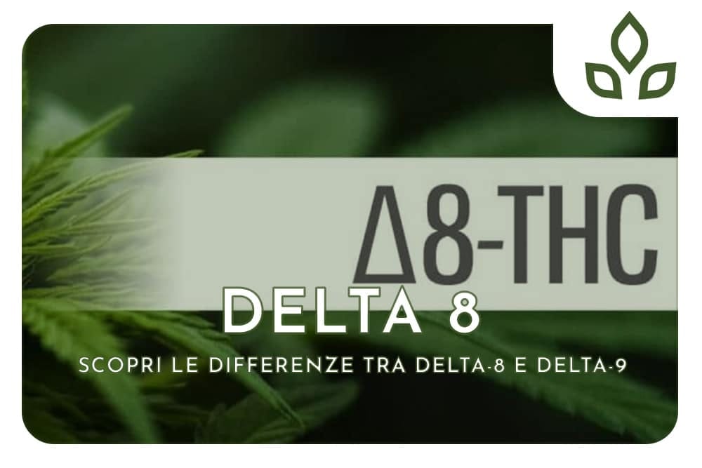 Delta-8 VS Delta-9: scopri le differenze - Blog