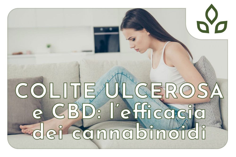 Colite ulcerosa e CBD: l'efficacia dei cannabinoidi - CBD Therapy Delivery
